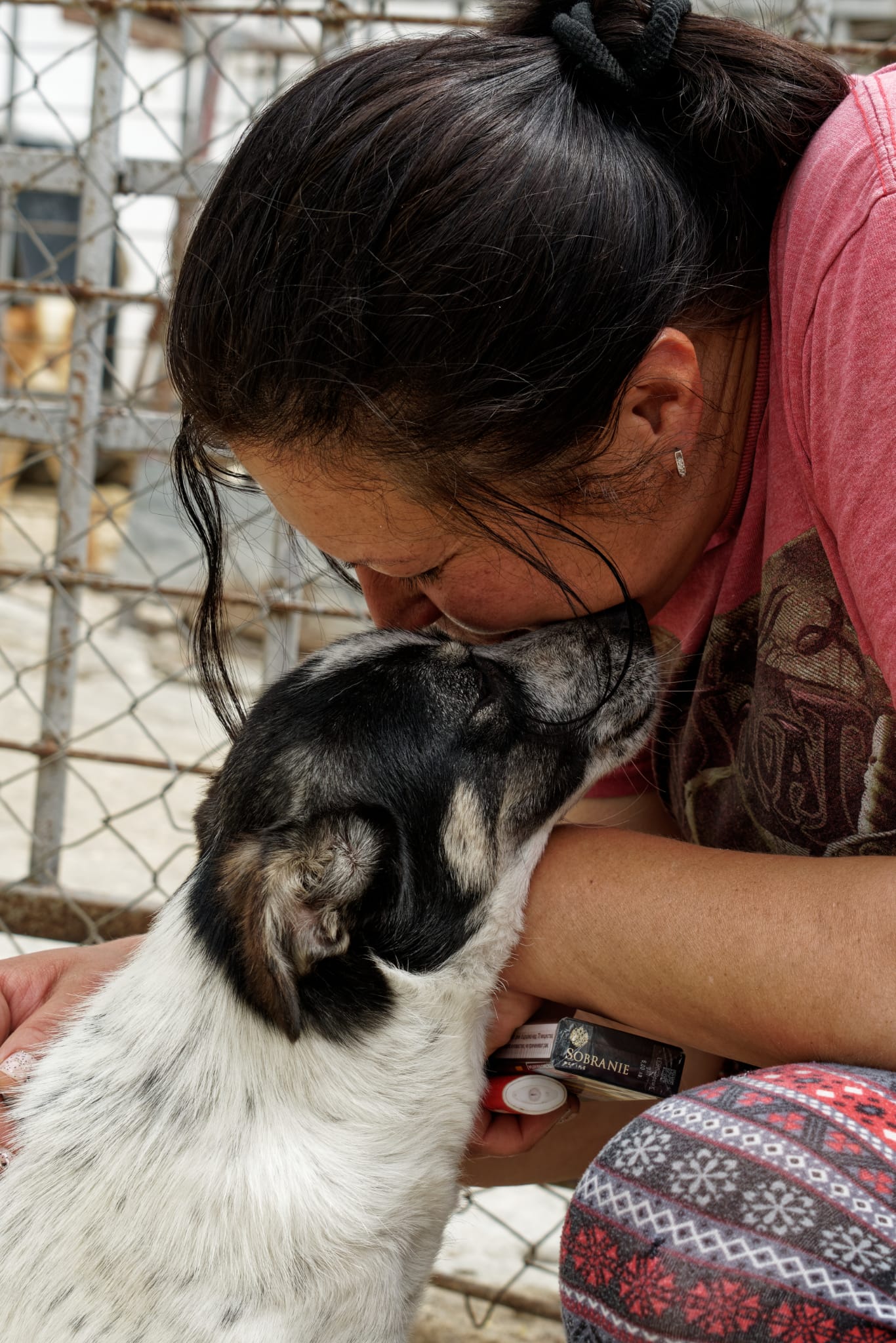 Hunde aus dem Tierschutz: Schenke einem Tier ein Zuhause!